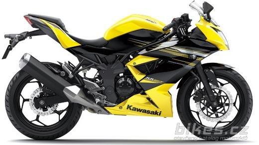 Kawasaki Ninja RR Mono ABS - 2015 - technické parametry, názory ...