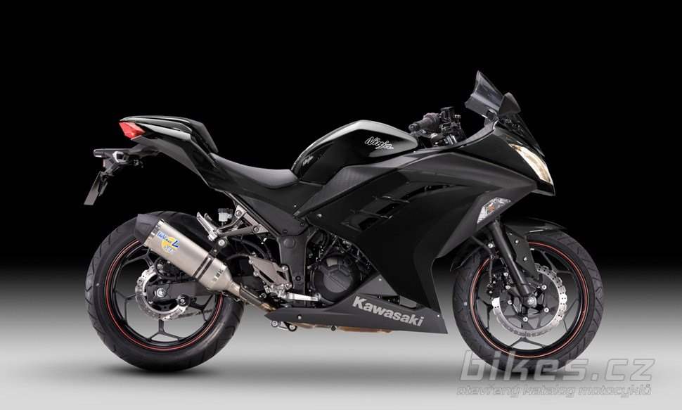Kawasaki Ninja 300 Performance - 2017 - technické parametry, názory ...
